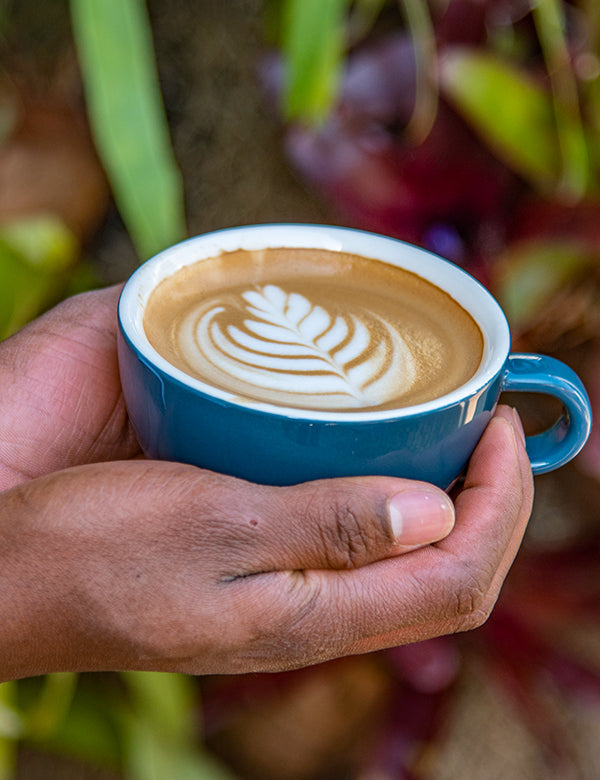 Experience Kenya's Best Coffee | Spring Valley Coffee