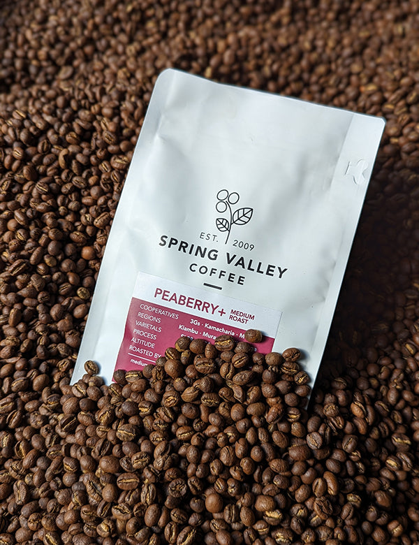 Experience Kenya's Best Coffee | Spring Valley Coffee